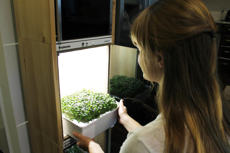 Nanofarm: Kendi Sebzelerinizi Kendi Mutfağınızda Yetiştirin! | Pazarlamasyon